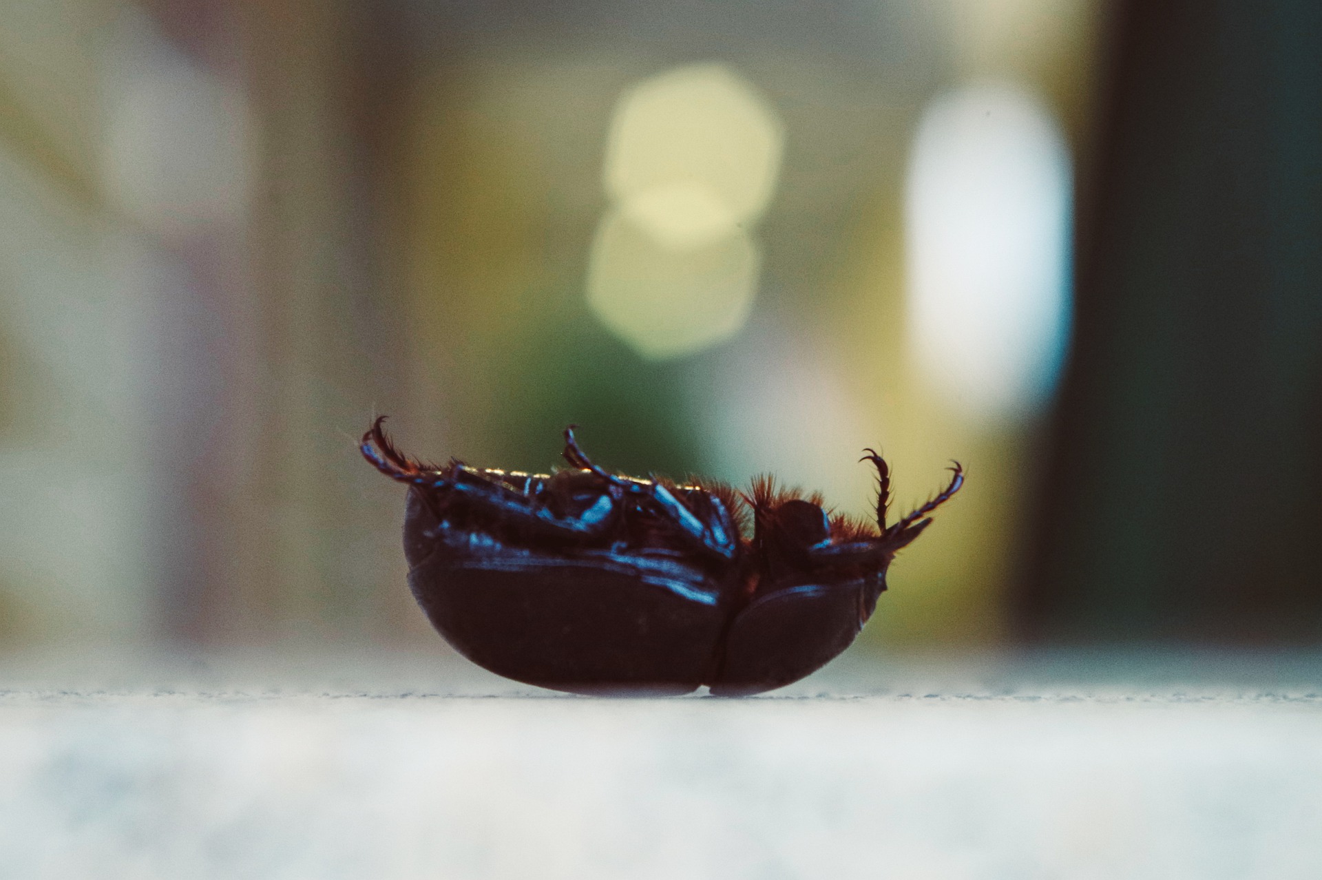 The Stack Overflow Antipattern Part 2 Pet Pixels