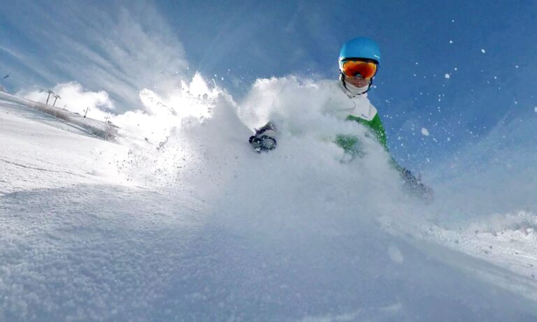 Reverse engineering Fox’s Butter Crinkle Crunch biscuits – Pet Pixels